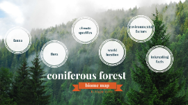 Coniferous Forest Climate