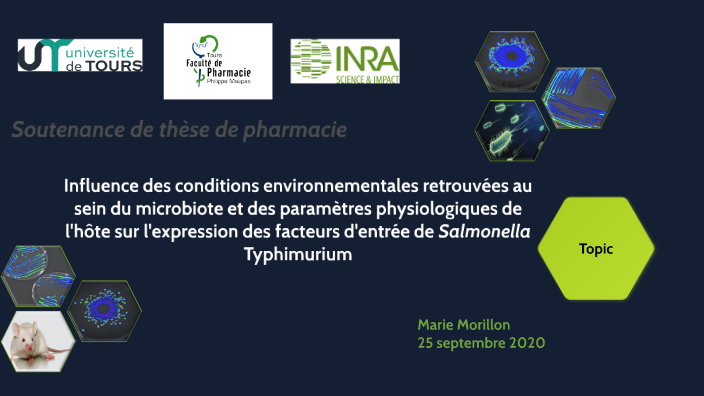 SOUTENANCE DE THÈSE DE PHARMACIE by Marie Morillon on Prezi
