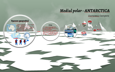 Mediul polar - ANTARCTICA by Georgiana Grumazescu on Prezi