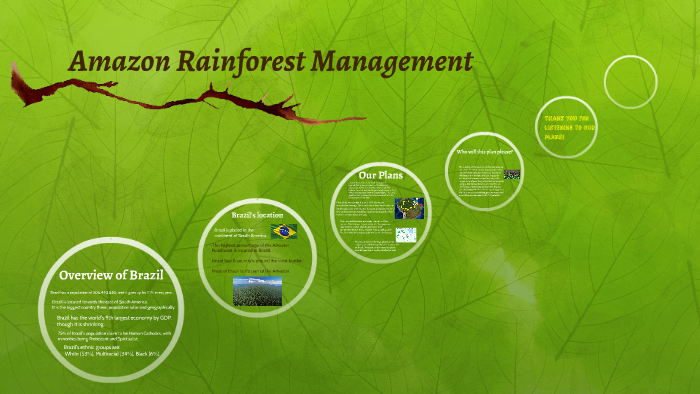 Amazon Rainforest Management by Arthur Robinson and Bradley Turner on Prezi
