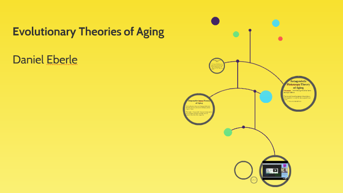Evolutionary Theories of Aging by Daniel Eberle on Prezi