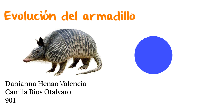 Evolucion del armadillo by Dahianna Henao valencia on Prezi