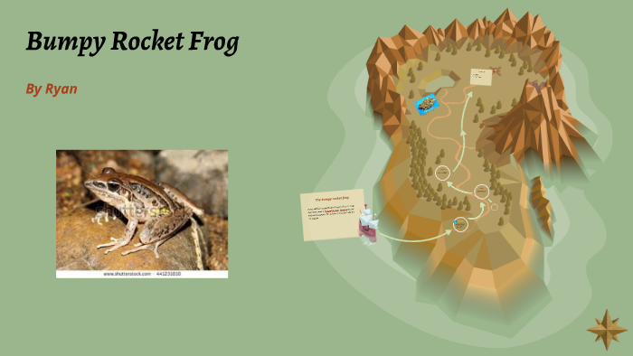 Bumpy Rocket Frog by Donna Robinson on Prezi