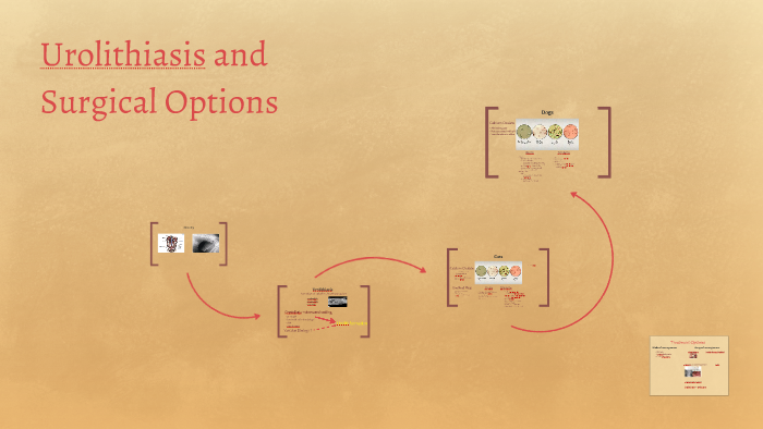Urolithiasis and Surgical Options by Joycelyn Tran on Prezi