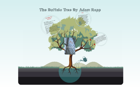 The Buffalo Tree By Adam Rapp by Chesina Llorens on Prezi