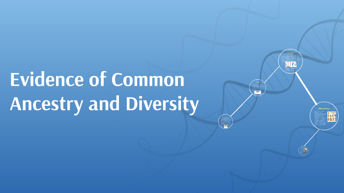 Evidence of Common Ancestry and Diversity by Perla Becerra on Prezi