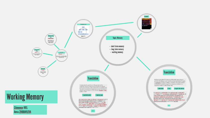 Working Memory by on Prezi
