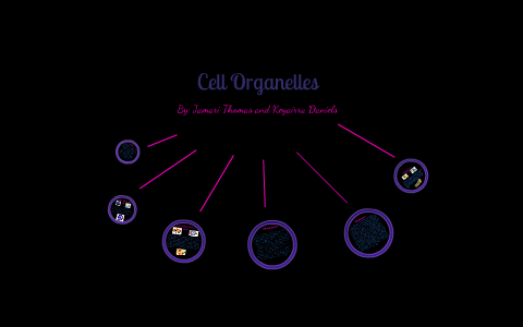 Cell Organelles Powerpoint Presentation Project by Keyairra Daniels ...