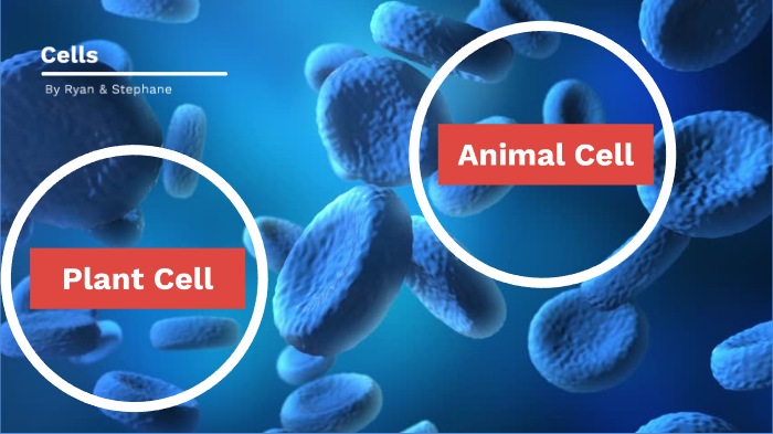 Cells by Ryan Kerner on Prezi