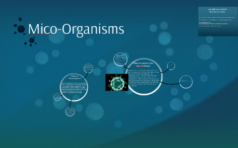 Mico-Organisms by Lian Pitt on Prezi
