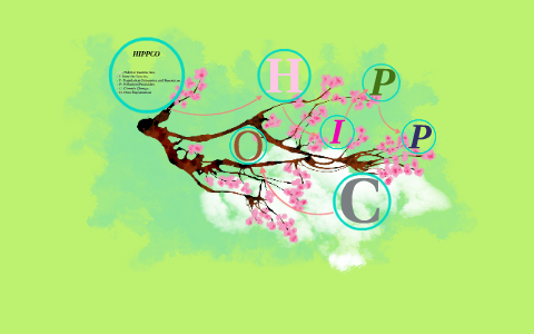 HIPPCO by Mohammed Traore on Prezi