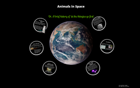 A brief history of animals in space by Chris Chapman on Prezi