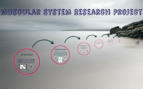 Muscular System Research Project by Lukas Aanonsen on Prezi