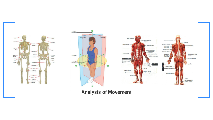 Movement Analysis