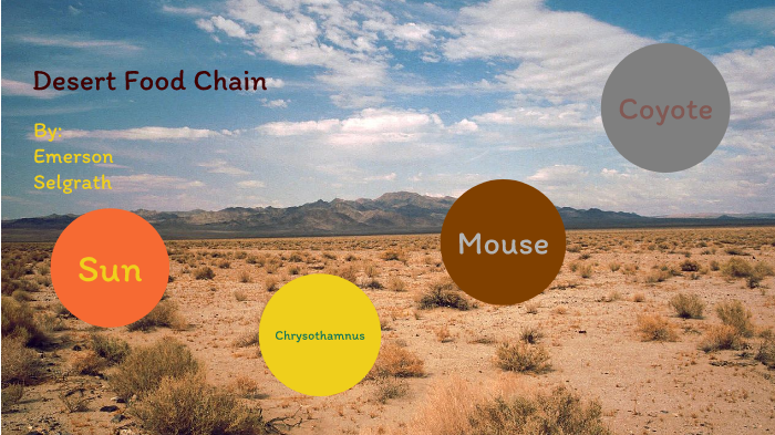 Desert Food Chain by e selgrath on Prezi
