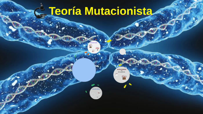 Teoría Mutacionista by Cristh Aparicio on Prezi