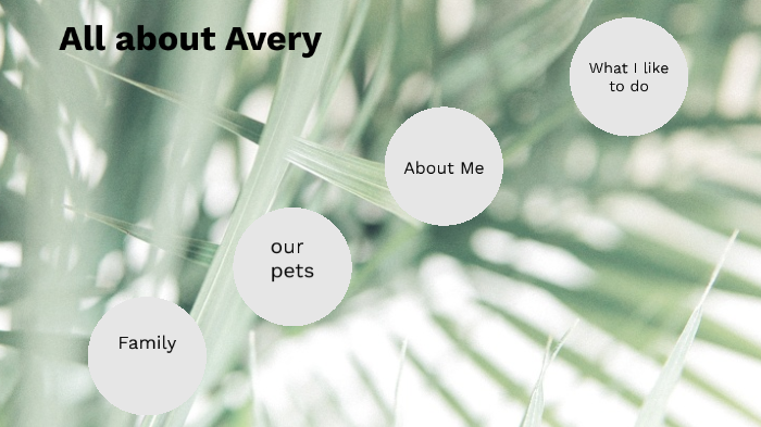 Avery by Avery James on Prezi