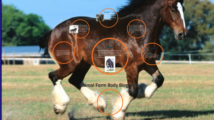 Animal Farm Body Biography by Gabriella Velasquez on Prezi