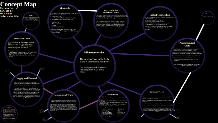 Micro Concept Map by Mariana Guerra