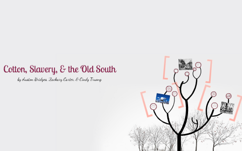 Cotton, Slavery, and the Old South by Auston Bridges on Prezi