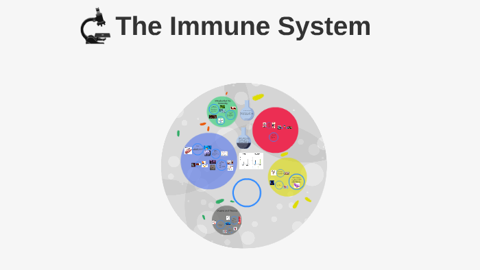 The Immune System by James Esemu