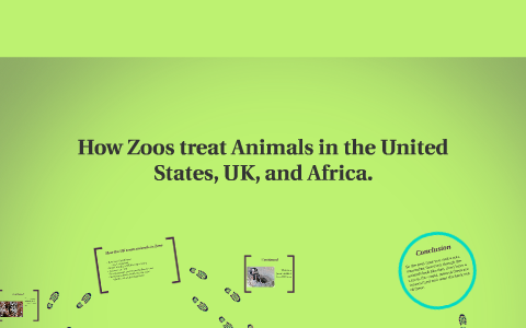 How Zoos treat Animals in the United States, UK, and West Af by Sarah ...
