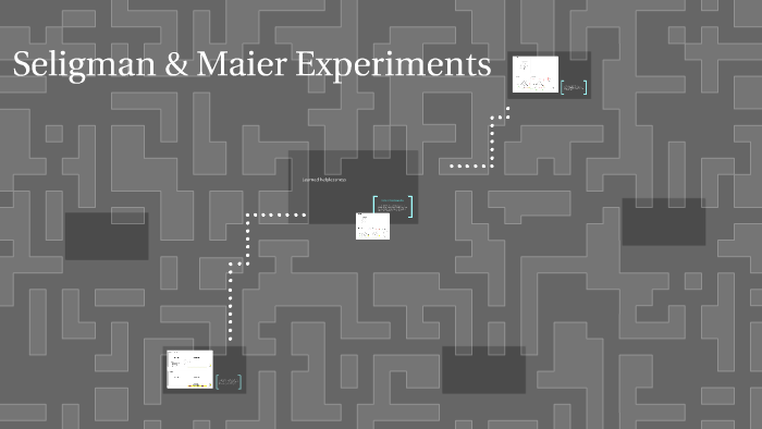 Seligman & Maier Experiments by on Prezi