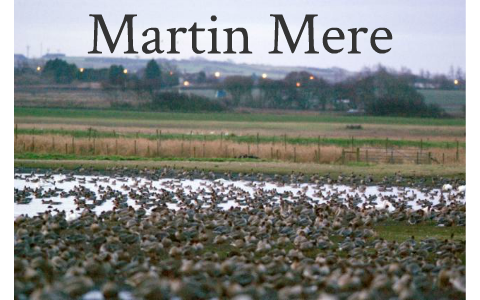 Brief introduction to Martin Mere's Nature Reserve by tom clare on Prezi