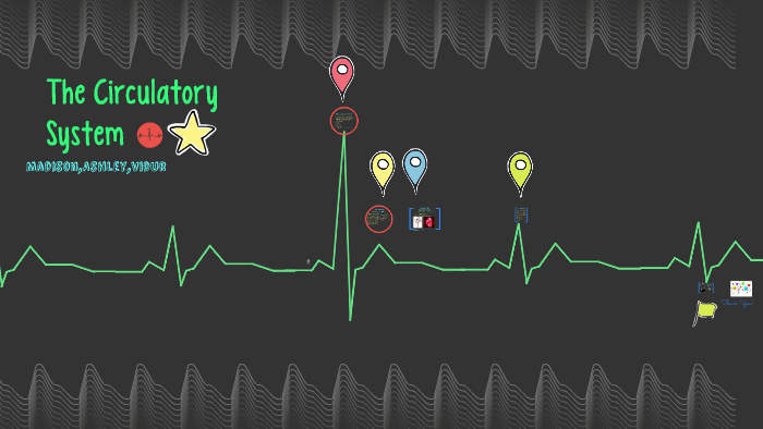 The Circulatory System by Ashley Gaytan on Prezi