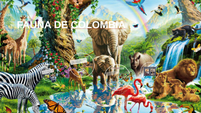 FAUNA DE COLOMBIA by cristin nayeby delgado mosquera on Prezi