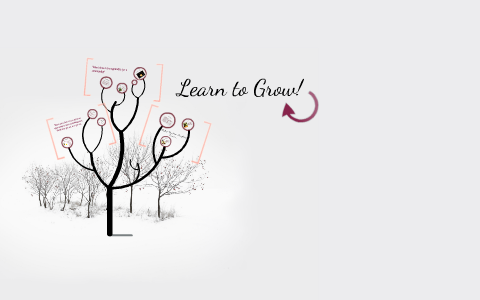 What does a tree symbolize for a community? by joseph poliziana on Prezi