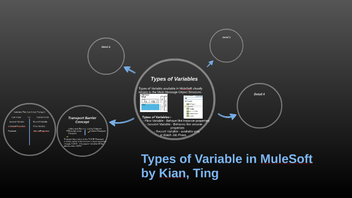 Types of Variable in MuleSoft by Kian Ting on Prezi