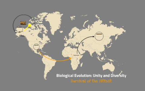 Biological Evolution: Unity and Diversity by Jennifer Burton on Prezi