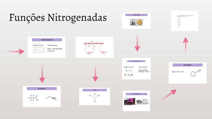 Funções Nitrogenadas by Matheus Sales on Prezi
