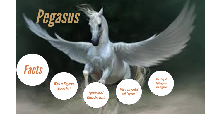 Pegasus Presentation by Serinity Rubio