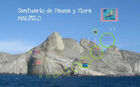 ISLA MALPELO by CAROLINA CONTRERAS PEREZ on Prezi