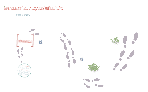 entellektüel alçakgönüllülük by büşra şenol on Prezi