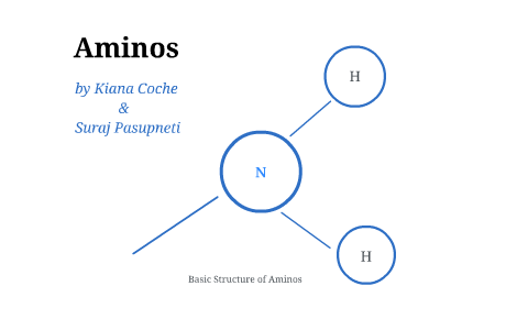 Amines Functional Group by Kiana Coche on Prezi