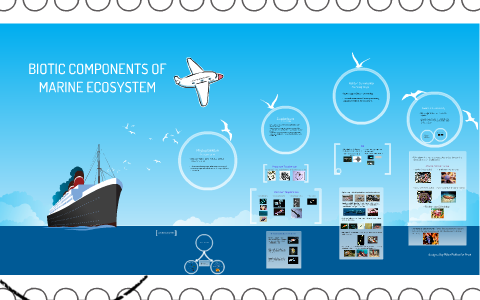 Biotic Components of Marine Ecosystem by J Tan on Prezi