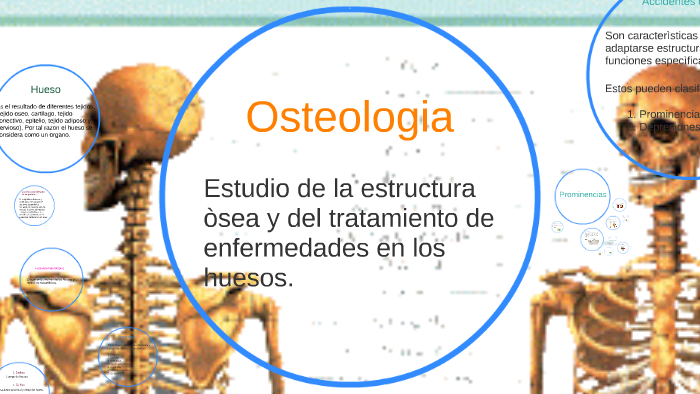 OSTEOLOGÍA by Daniela Camacho on Prezi