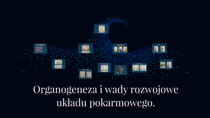 Organogeneza i wady rozwojowe układu pokarmowego. by Błażej Nowakowski ...