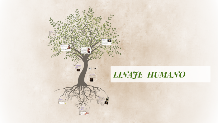 Linaje Humano by edilton garcia on Prezi
