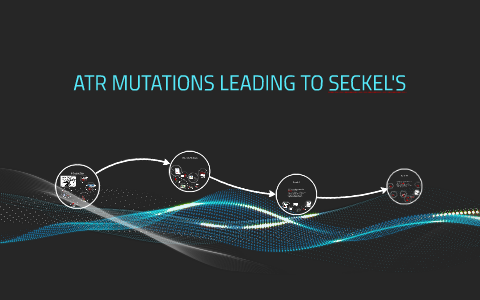 ATR MUTATIONS LEADING TO SECKEL'S by Rebecca Rice on Prezi