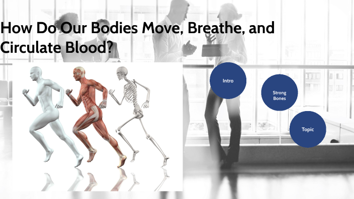 Grade 5 How Do Our Bodies Move, Breathe, and Circulate Blood? by lolo ...