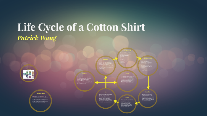 Life Cycle of a Cotton Shirt by Patrick Wang on Prezi