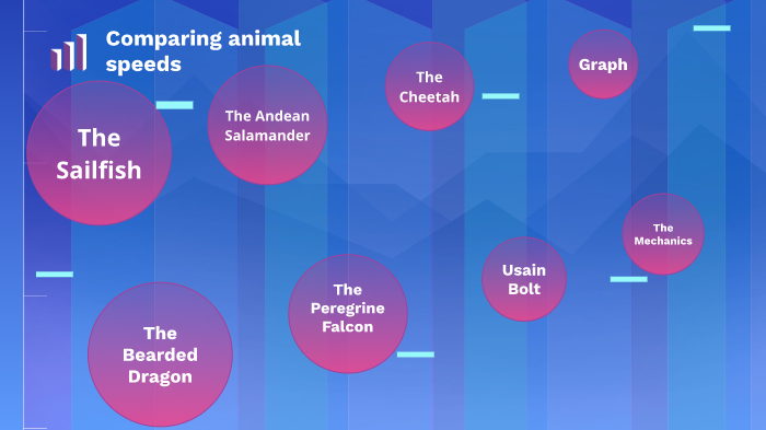 comparing animal speeds by Angel Luong on Prezi