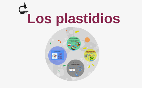 Los plastidios by Gabriela Menchaca on Prezi