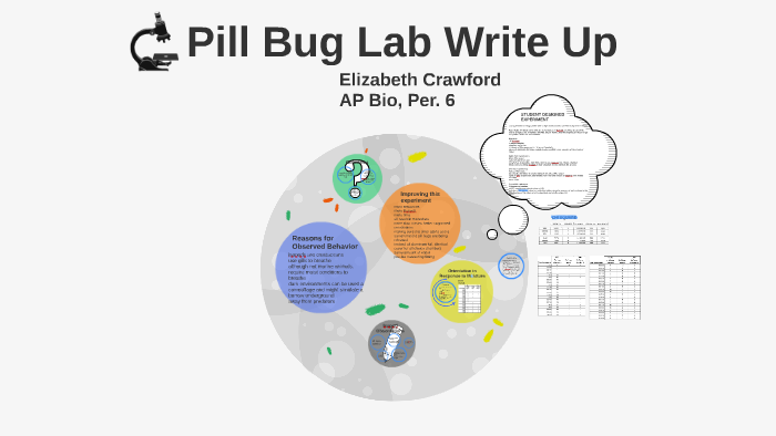 Pill Bug Lab Write Up by Elizabeth Crawford on Prezi