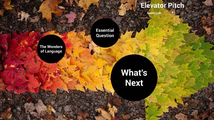 Genius Hour Elevator Pitch by Sean L on Prezi