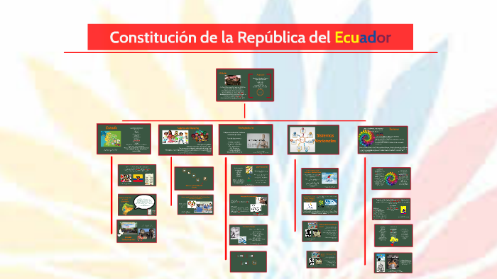 Constitución de la República del Ecuador 2008 by Katherine Maldonado ...